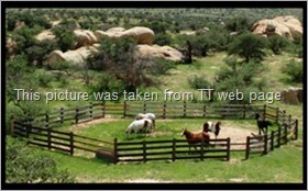 Adventures of Shadow The RVing Dog: Triangle T would be a perfect place ...